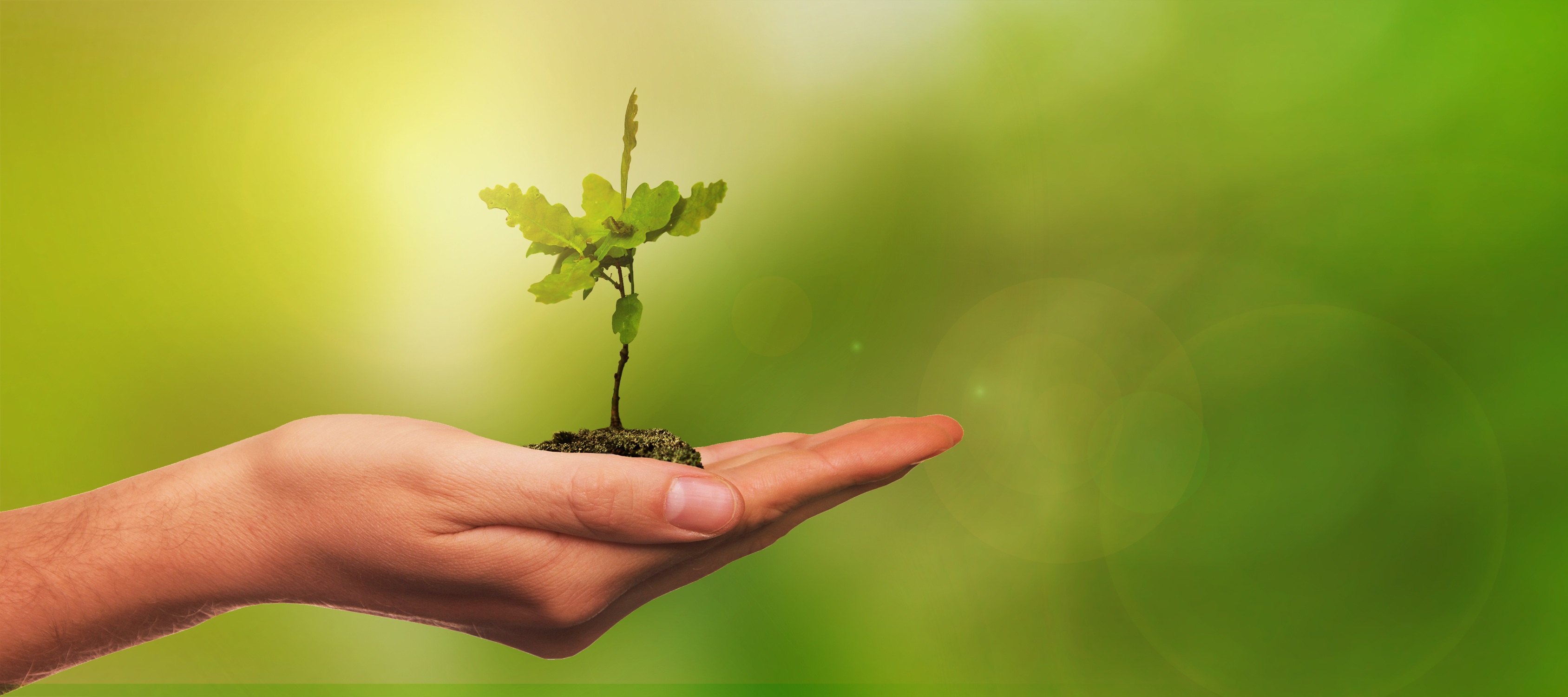 Crecimiento Verde